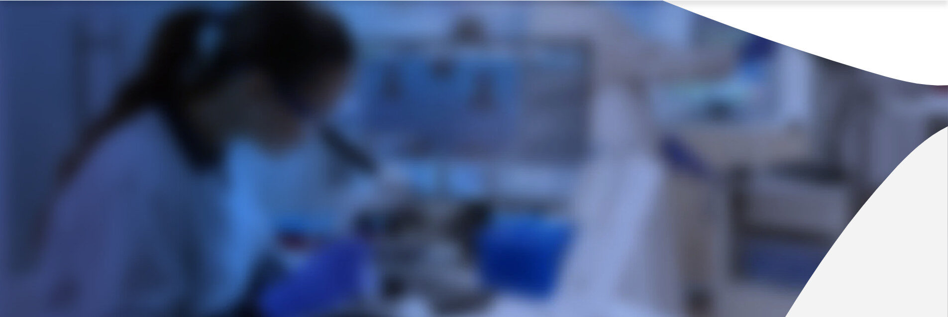 Connect with a Southern Star Research Expert - Southern Star Research